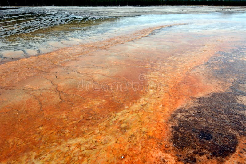 The Mist Over the Geyser and the Bizarre Patterns on the Bottom of the ...