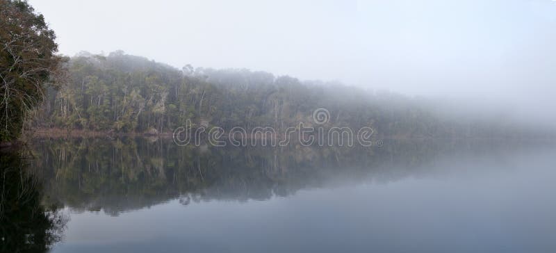 Mist Over Lake Eecham Rain Forest Reflection Stock Image - Image of ...