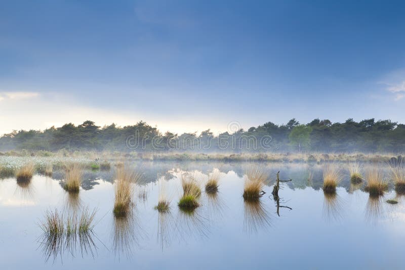 Mist Over Moeras in Drenthe Stock Foto - Image of nevelig, meer: 31427946