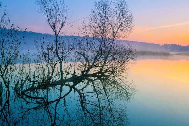 Mist over water stock image. Image of serene, golden, light - 5669915