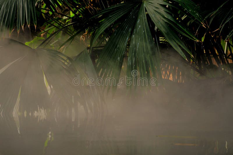 Mist over the water stock photo. Image of brown, color - 87599150