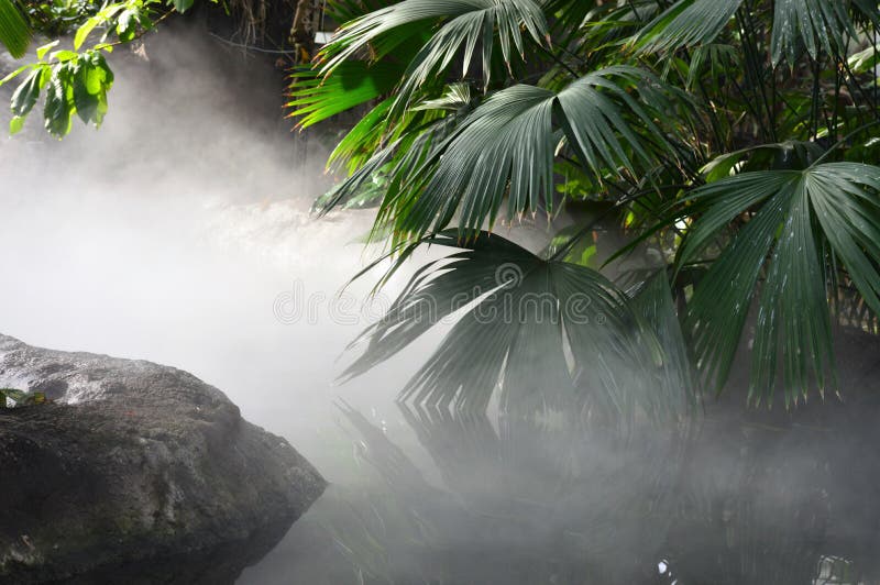 Surface Waves In Toxic Water, Sewage, Pollution& X27;s Environment ...