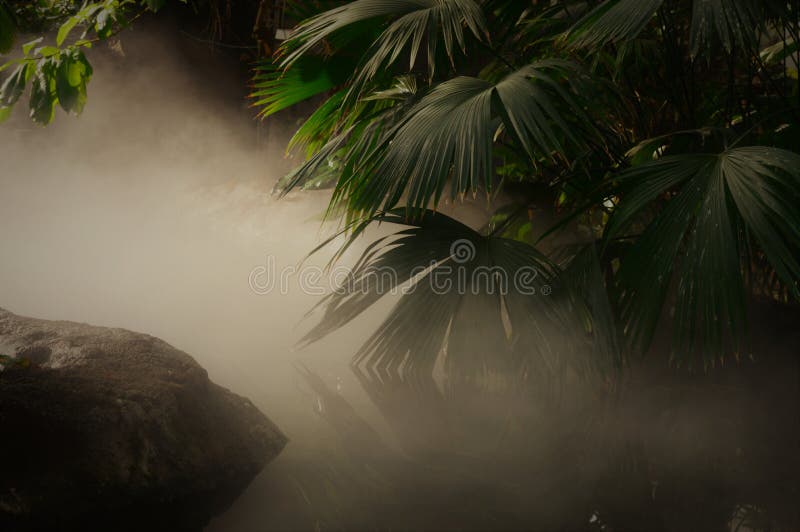 Mist over the water stock image. Image of detail, landscape - 87599953