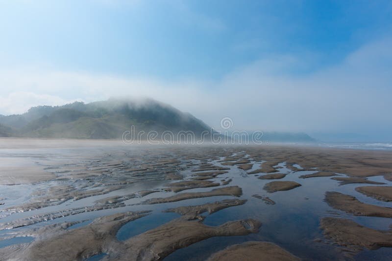 Mist over wide sandy beach stock image. Image of park - 243374933