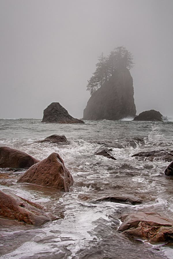 Mist Pushing in from the Ocean Toward the Trees Stock Photo - Image of ...
