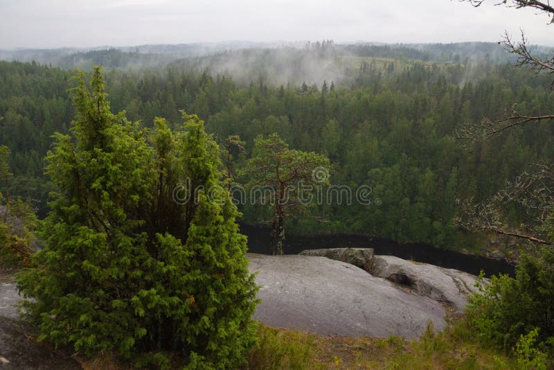 Mist after the rain stock image. Image of rain, stone - 84077273