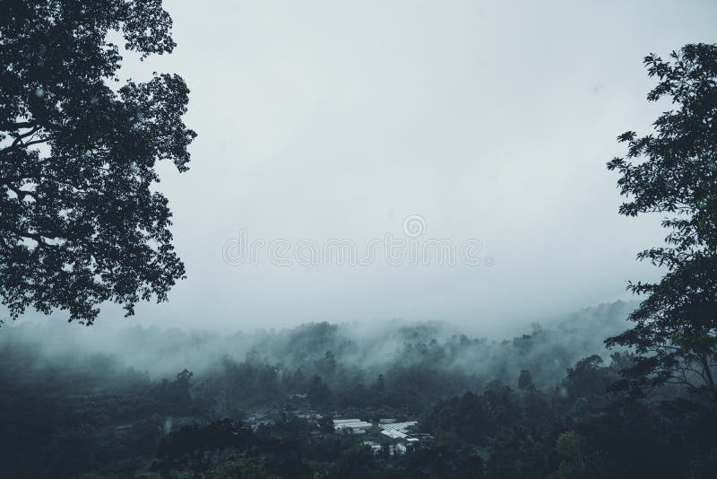 In the Mist and Rain Forest, Darkness Stock Image - Image of evening ...