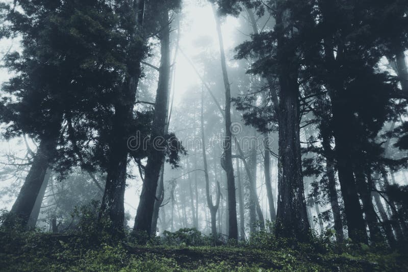 Mist and rain stock image. Image of reduced, drilling - 23939239