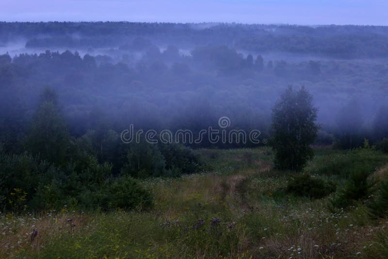 Mist after the rain stock photo. Image of landscape - 124489464