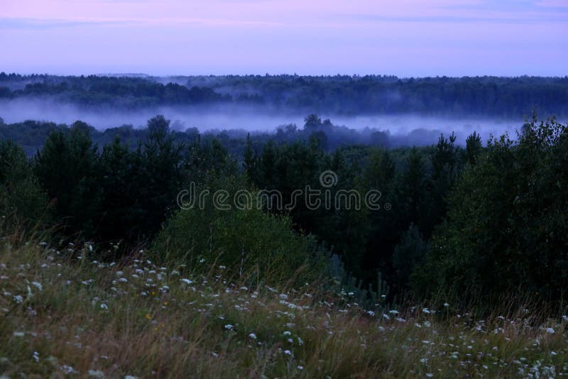 Mist after the rain stock photo. Image of hill, mist - 124489540