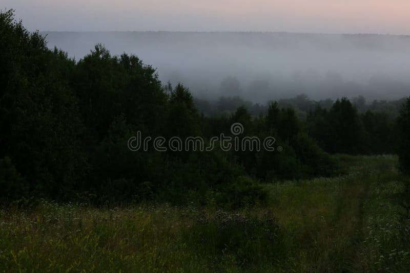 Mist after the rain stock image. Image of hill, birch - 155627443