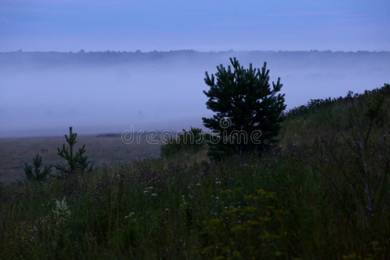 Mist after the rain stock photo. Image of reflection - 124489406