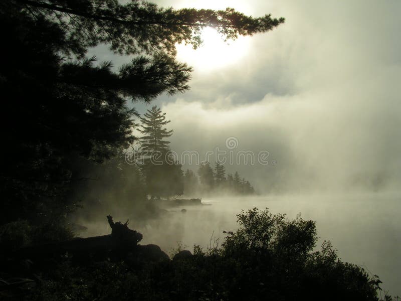 Mist rising from lake stock photo. Image of misty, logs - 5856368