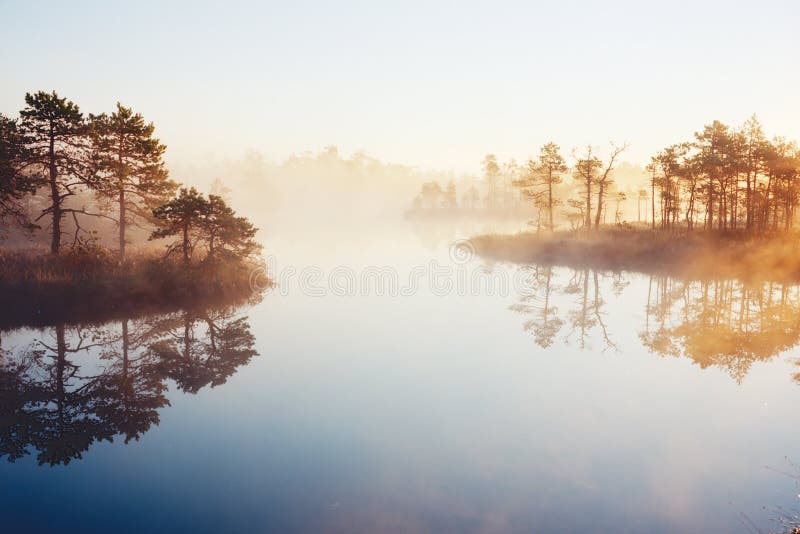 Mist Rising from the Grass in the Morning Sun Stock Image - Image of ...