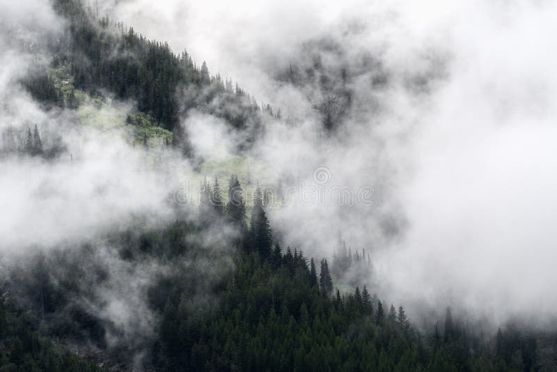 Mist Rising in Mountains after Storm Stock Image - Image of green ...