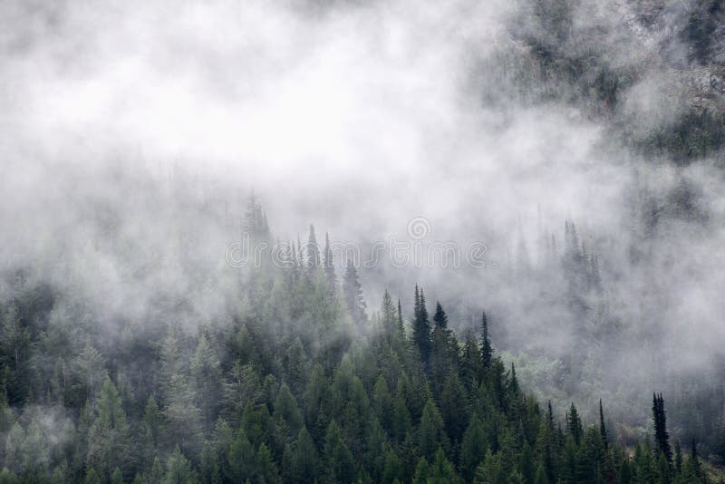 Mist Rising in Mountains after Storm Stock Photo - Image of nature ...