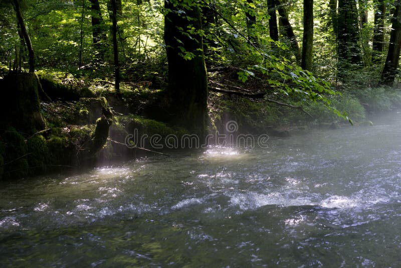 Mist Rising Over River in the Forest at Dawn Stock Image - Image of ...