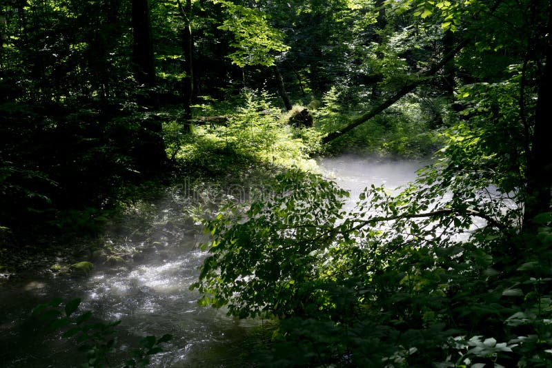 Mist Rising Over River at Dawn Stock Image - Image of moist, forest ...