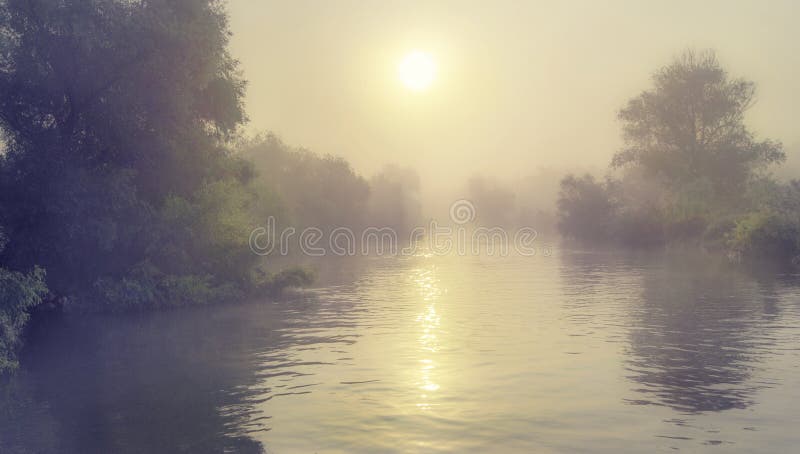 Mist and and for on a River Stock Photo - Image of environment ...