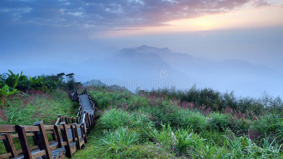 Mist - Shrouded Mountain Path at Dawn Stock Illustration - Illustration ...