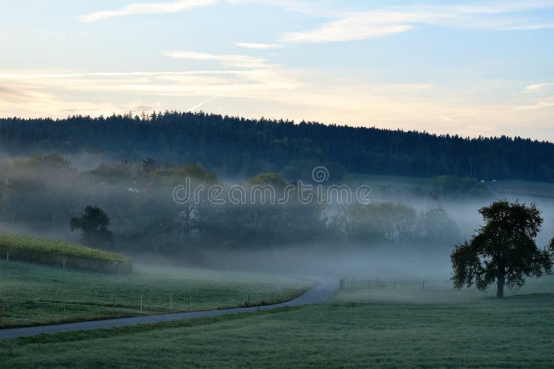 Mist, Sky, Morning, Dawn Picture. Image: 111421135