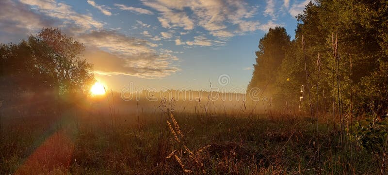 Mist in the sunset stock image. Image of horizon, prairie - 255298143