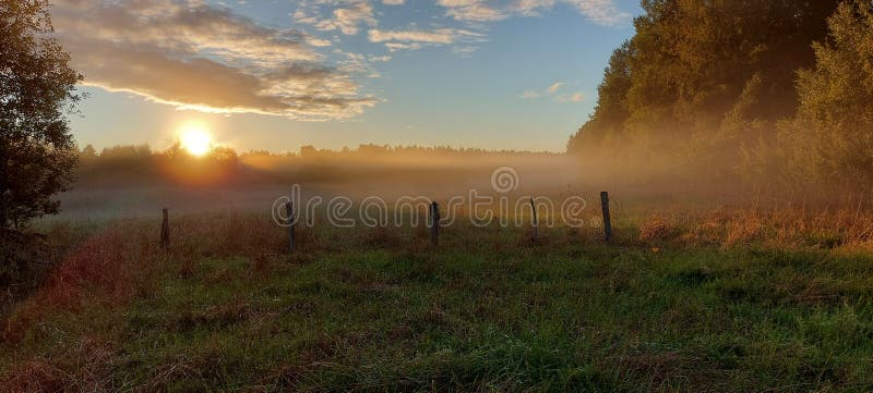 Mist in the sunset stock image. Image of prairie, field - 255298123