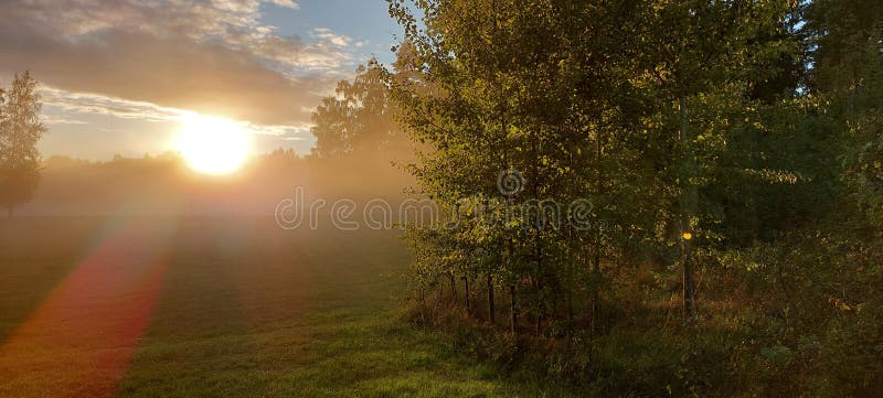 Mist in the sunset stock photo. Image of evening, green - 255298240