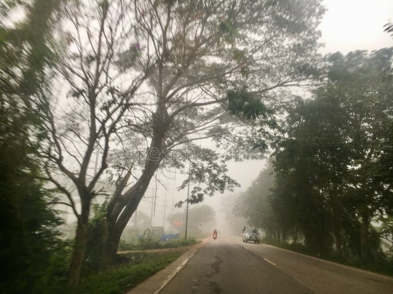 Mist Tree Road/Forest Trail Surrounded by Mist Resulting Editorial ...