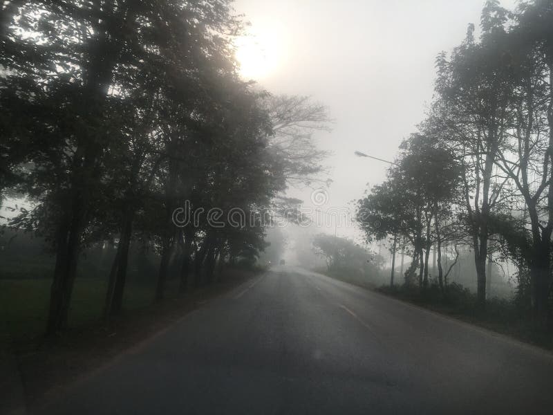 Mist Tree Road/Forest Trail Surrounded by Mist Resulting Stock Photo ...