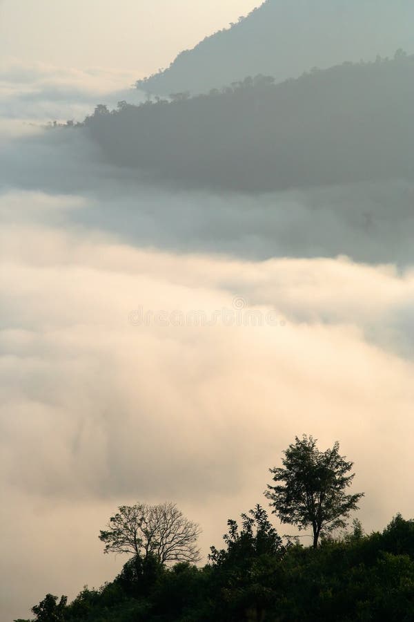 Mist in the Valley stock photo. Image of range, hiking - 12348046