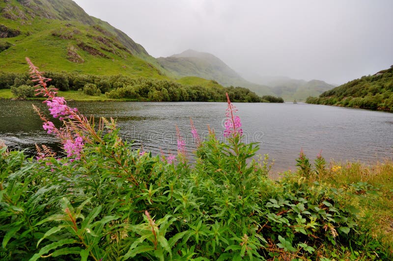 Mist in the Valley of Glencoe Stock Photo - Image of empty, scottish ...