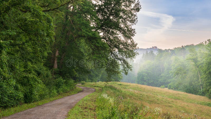 Mist in the Woods on a Summer Morning in the Black Forest Stock Image ...