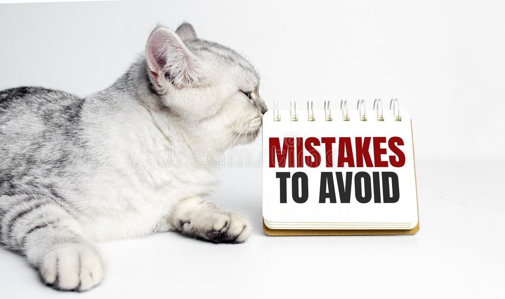 Mistakes To Avoid Words on Notebook and Kitten Stock Photo - Image of ...