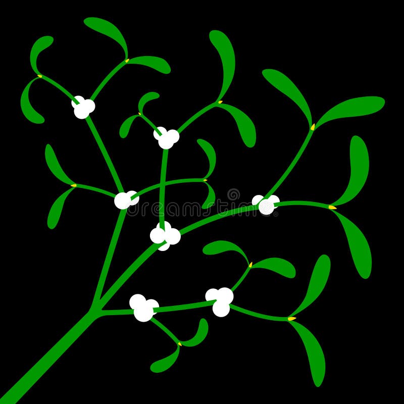 Mistel Stock Illustrationen, Vektoren, & Kliparts - 39,512 Stock ...