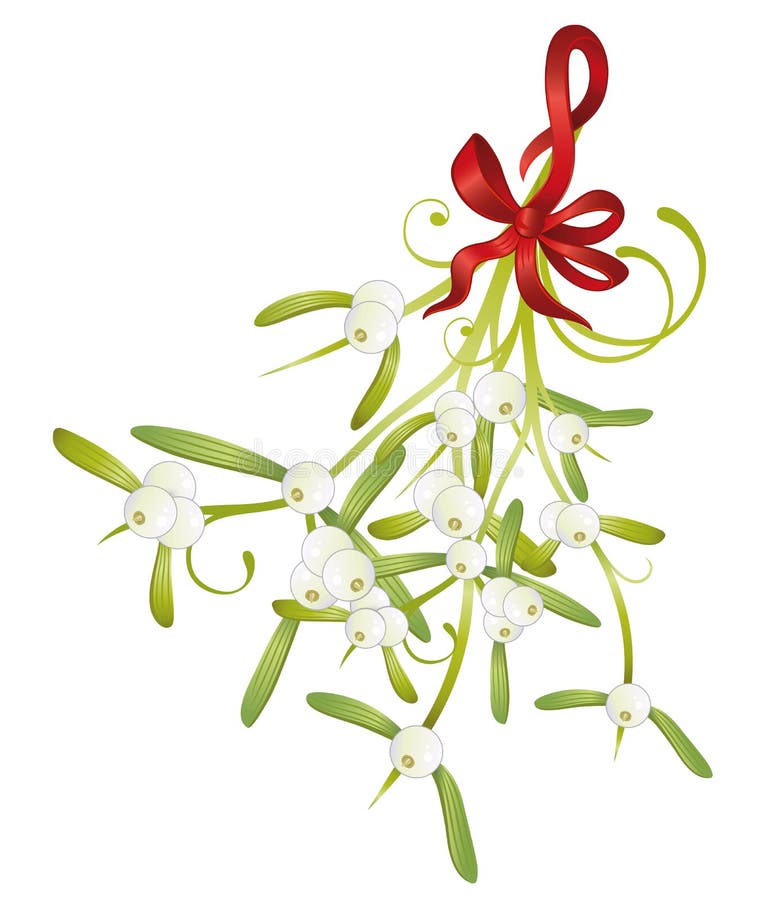 Mistelzweig, Weihnachten vektor abbildung. Illustration von regelkreis ...