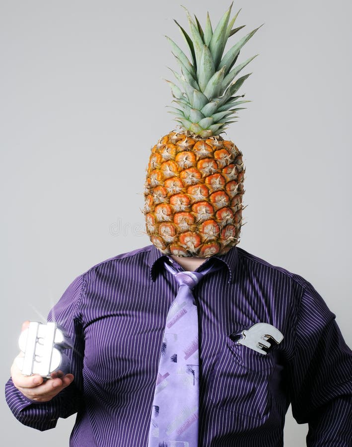 Mister Ananas stock photo. Image of adult, exchange, dollar - 13343256