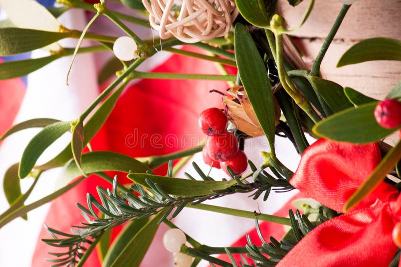 American Mistletoe (Phoradendron Flavesens) Infested Tree Stock Image ...