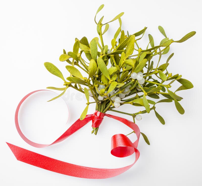 Mistletoe stock photo. Image of celebration, white, spirituality - 17418624