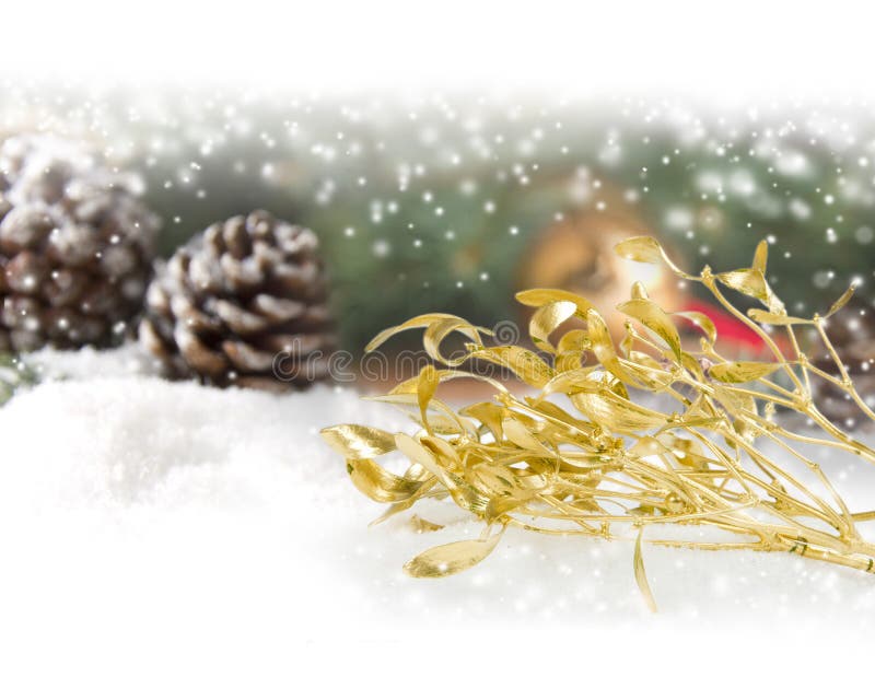 Mistletoe branch stock photo. Image of close, happy, cone - 47472358