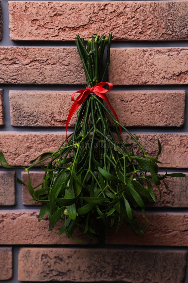 Mistletoe Bunch with Red Bow Hanging on Brick Wall. Traditional ...