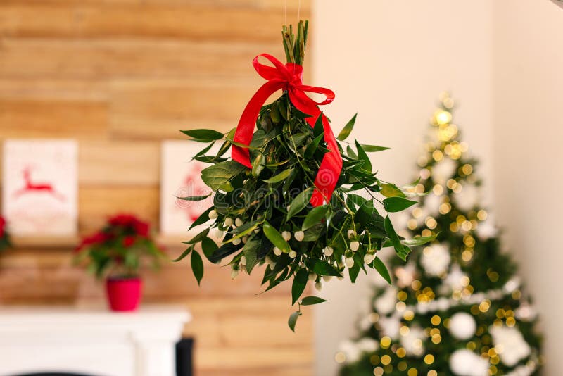 Mistletoe Bunch with Red Bow Isolated on White. Traditional Christmas ...