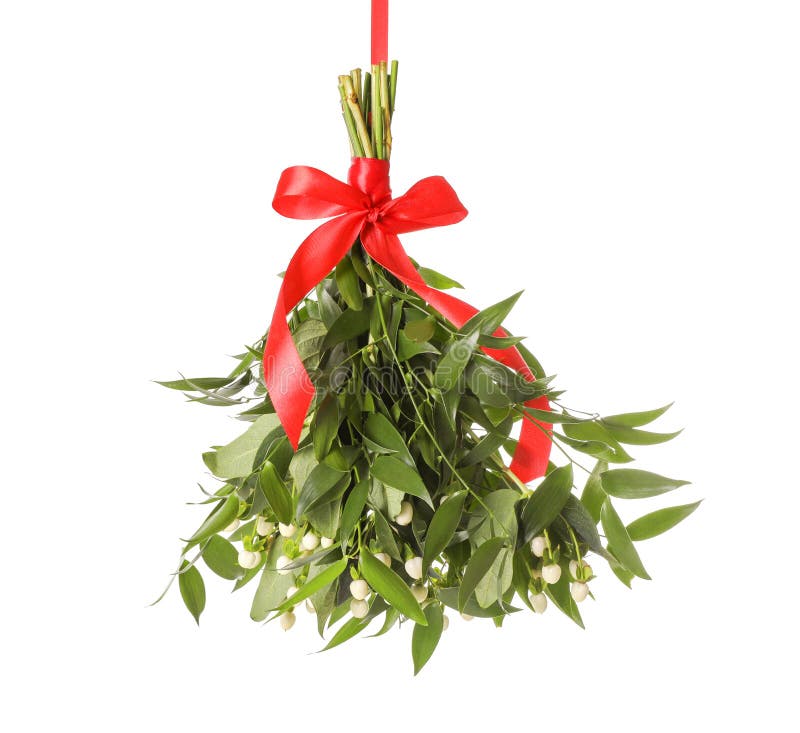 Mistletoe Bunch with Red Bow Isolated on White. Traditional Christmas ...