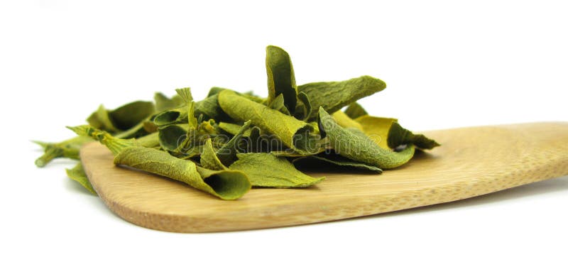Mistletoe dried leaves stock image. Image of heap, color - 10662607