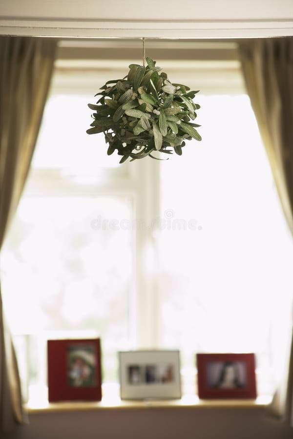 Mistletoe Hanging Ceiling Stock Photos - Free & Royalty-Free Stock ...
