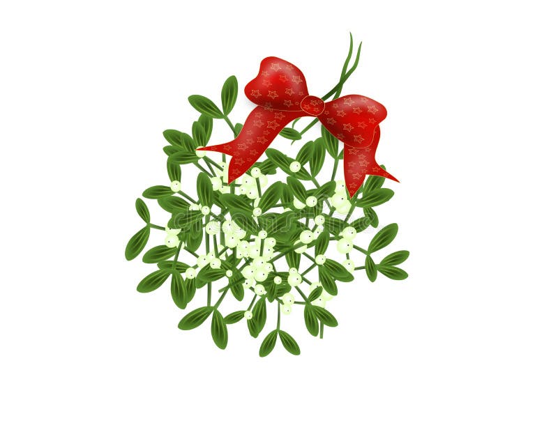 Mistletoe stock illustration. Illustration of circle - 45483984