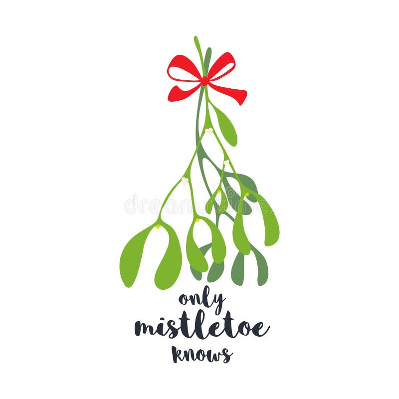 Horizontal Seamless Background with Mistletoe. Stock Vector ...