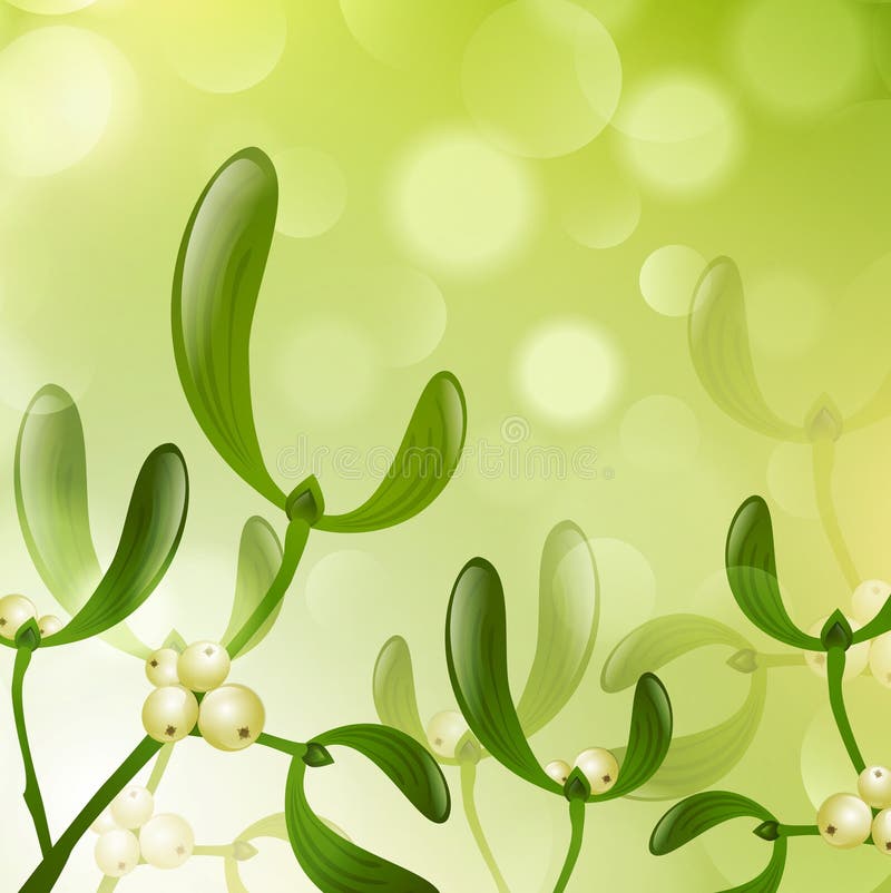 Mistletoe stock vector. Illustration of symbol, plant - 30800743