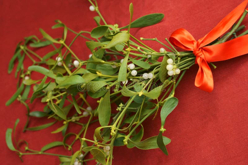 Mistletoe with Red Ribbon Bow Stock Image - Image of mistletoe ...