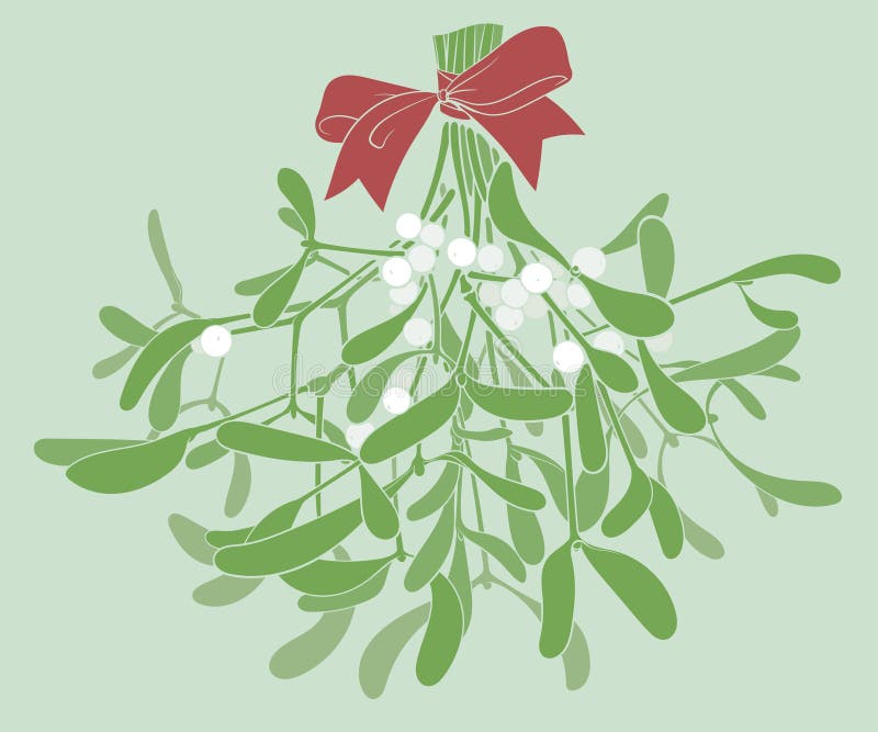 Mistletoe 1 stock vector. Illustration of green, delicate - 87590582